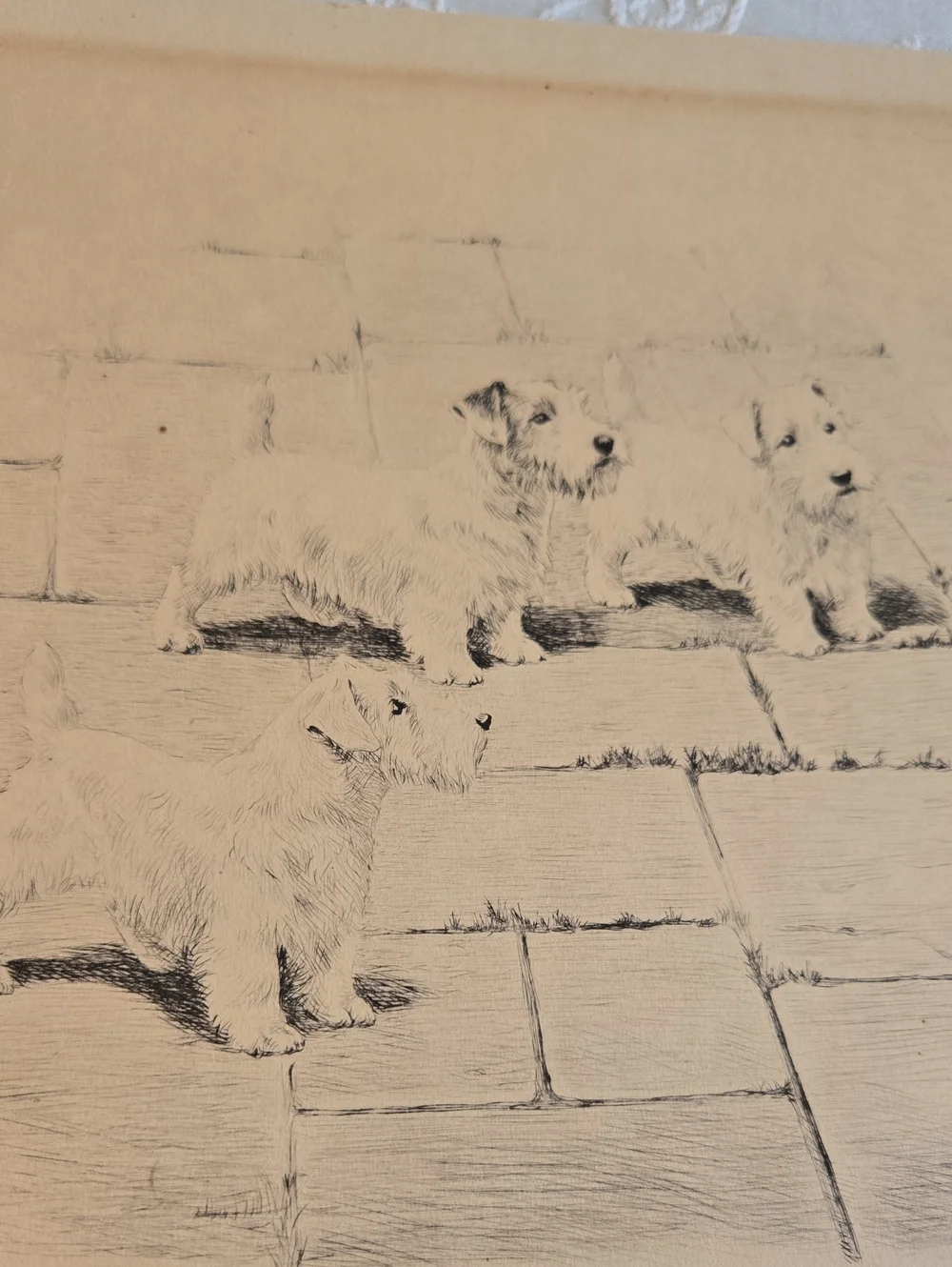 Kirmse | Art | The Judgement Of Paris By Marguerite Kirmse Drypoint ...
